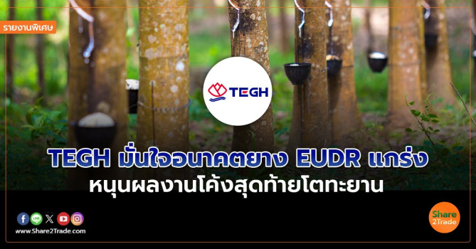 รายงานพิเศษ : TEGH มั่นใจอนาคตยาง EUDR แกร่ง หนุนผลงานโค้งสุดท้ายโตทะยาน | Share2Trade
